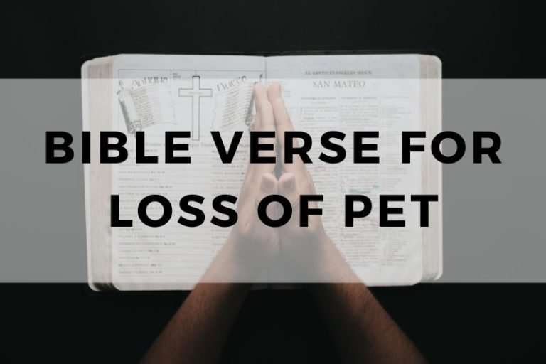 10 Comforting Bible Verses for Coping With the Loss of a Pet - BELIEVE ...